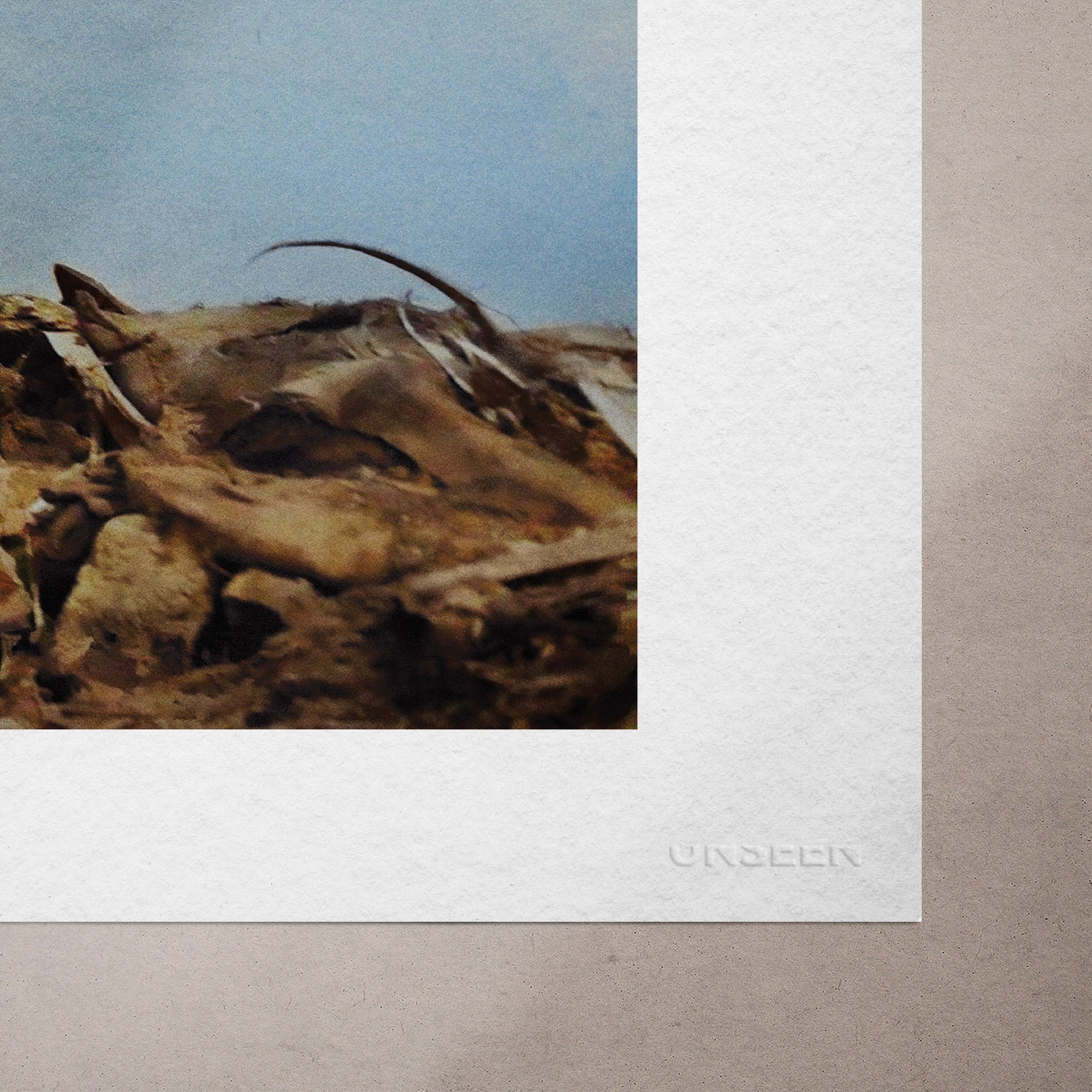 Raising the Flag in Iwo Jima, 1945, Colorized – Unseen Histories Store