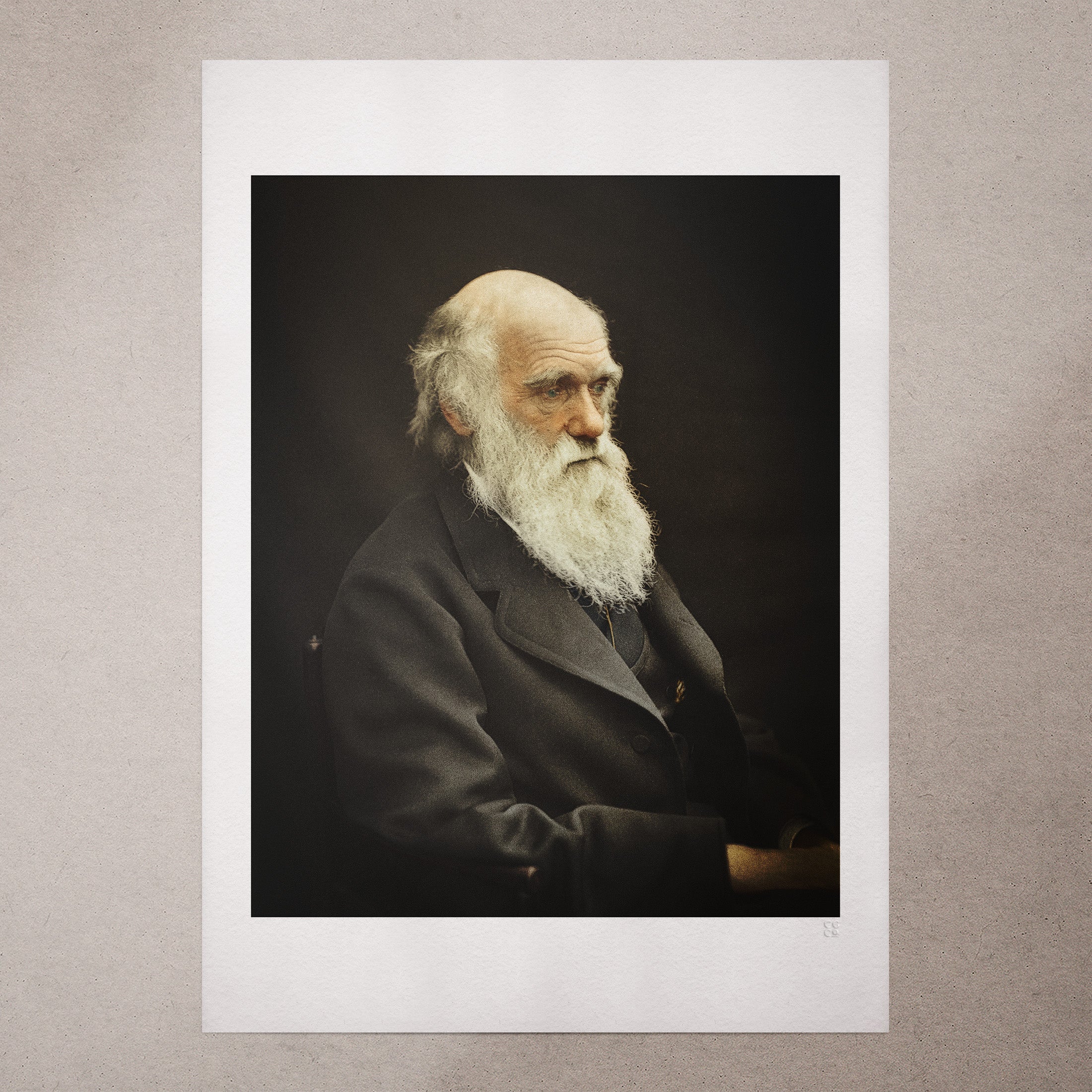 Charles Darwin, 1874, Colorized – Unseen Histories Store